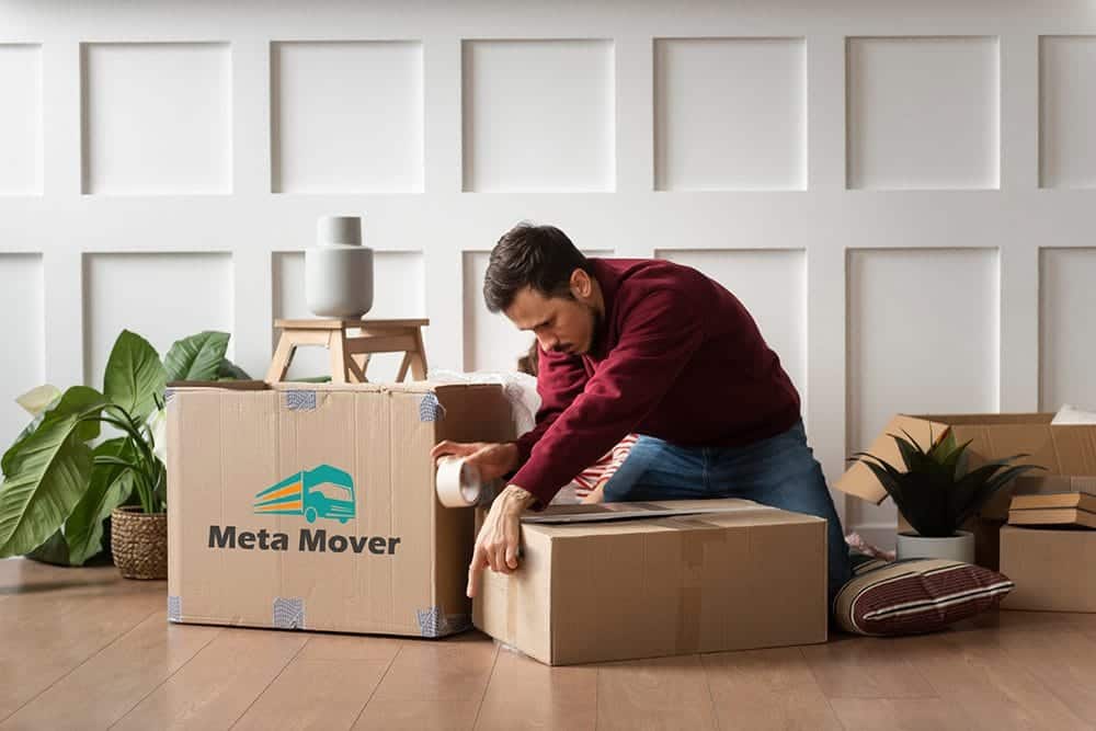 Services | Flat Shifting | Vella Moving | Pet Relocation | Paintservice